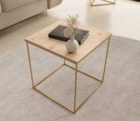 ADRK Furniture Konferenční stolek Adina CT-ADI-G-A