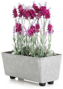 PLASTOVÝ KVĚTINÁČ SALVIA 28,5X17 CM IMITACE BETONU ŠEDÁ