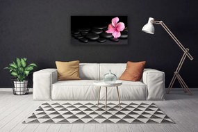 Obraz na plátně Kameny Květ Umění 125x50 cm