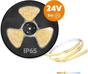 LED Venkovní pásek TRAMO LED/50W/24V 5m IP65 3000K