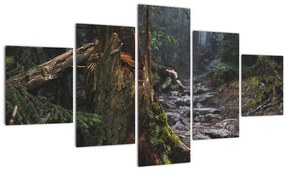 Obraz - V lese (125x70 cm)