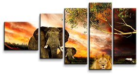 Sablio Obraz - 5-dílný Zvířata ze Sahary - 100x60 cm