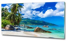 Wallmuralia Foto obraz sklo tvrzené Seychely pláž 100x50