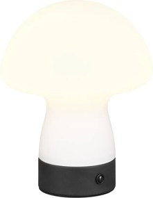 Matně bílá LED stolní lampa se skleněným stínidlem (výška 18 cm) Dooley – Trio