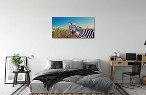 Obrazy na plátně zebra květiny 120x60 cm