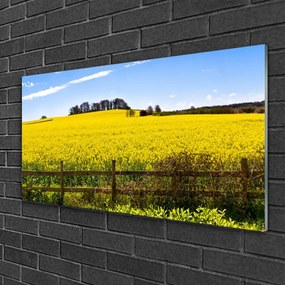 Obraz na skle Pole Rostlina Krajina 120x60 cm