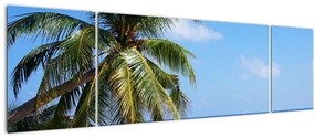 Obraz palmy na pláži (170x50 cm)