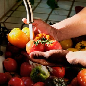 Voluspa svíčka Tomato Trellis, 510 g