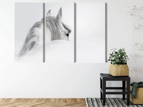 Vícedílný obraz Andaluský Kůň V Mlze Nedostatek Nedostatek Přírodní plátno 150x100