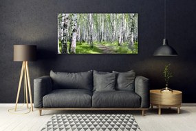 akrylový obraz Les Stezka Příroda 120x60 cm