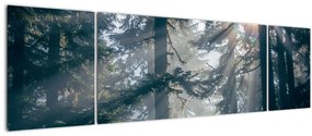 Obraz stromů s průsvitajícím sluncem (170x50 cm)