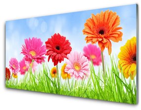 Obraz na skle Květiny tráva Rostlina 120x60 cm