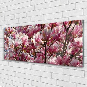 Plexisklo-obraz Větve Květiny Rostlina 125x50 cm