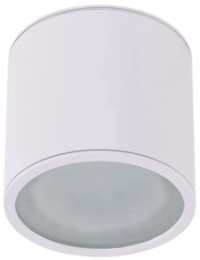 AZzardo Venkovní stropní svítidlo Alix IP65 Barva: Bílá