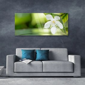 akrylový obraz Květ Listy 125x50 cm