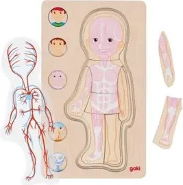 GOKI Vícevrstvé puzzle Lidské tělo Chlapec / od 4 let