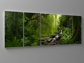 Liox Obraz deštný prales Rozměr: 100 x 40 cm