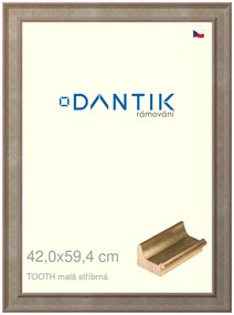 DANTIK rámeček 42x59,4 | TOOTH malá stříbrná (Plexi Čiré)