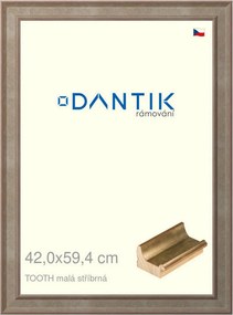 DANTIK rámeček 42x59,4 | TOOTH malá stříbrná (Plexi Čiré)