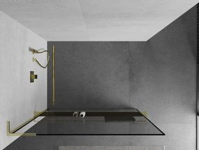 Mexen Kioto+ L, sprchová zástěna Walk-In s poličkou a věšákem 50 x 200 cm, 8mm čiré sklo černý vzor, ​​zlatý lesklý profil, 800-050-123-50-70
