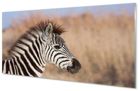 Obraz na skle zebra 120x60 cm