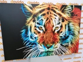 Obraz hlava tygra v abstraktním provedení - 60x40 cm
