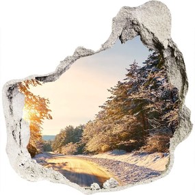 Wallmuralia Nálepka fototapeta 3D Cesta v lese zima 75x75 cm
