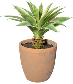 Gasper Umělá rostlina Agáve, 35 cm