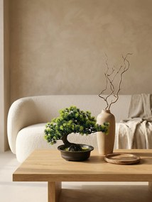 Sinsay - Dekorační rostlina bonsai v květináči - zelená
