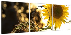 Obraz slunečnice (s hodinami) (90x30 cm)