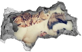Wallmuralia Díra 3D fototapeta na stěnu Dvě kočky a pes 95x73 cm