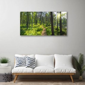 Obraz na plátně Les Stezka Cestička Příroda 125x50 cm