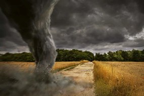 DIMEX | Samolepicí vliesová fototapeta na zeď Velké tornádo MA-5-2327 | 375 x 250 cm | zelená, černá, žlutá, šedá