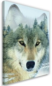 Obraz na plátně, Vlk Zvíře Les Příroda - 40x60 cm