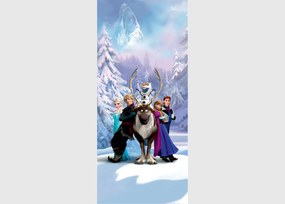 Dětská vliesová fototapeta na zed' Ledové Království Zimní Les, Disney | 90 x 202 cm | DFTDNV 5481
