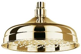 Kludi Adlon - Hlavová sprcha, 200 mm, zlatá 2751045