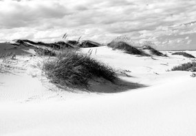 Fototapeta Odpoledne V Dunes Black &amp;amp; White Samolepící tapety 135x90
