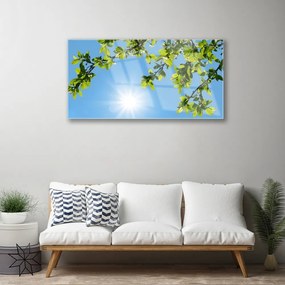 Obraz na skle Slunce Příroda 140x70 cm