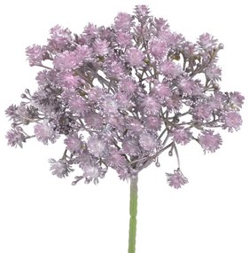 gypsophyla 21 cm - fialovovorůžová