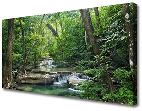 Obraz na plátně Lesní Les Příroda 120x60 cm