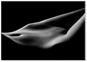 Obraz ženské tělo Velikost (šířka x výška): 100x70 cm