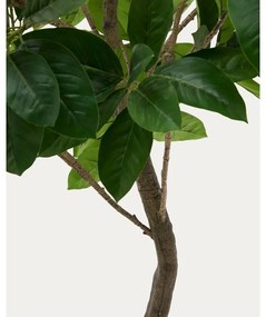 Umělý fíkus (výška 210 cm) Ficus – Kave Home