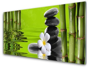 Obraz na skle Bambus Kameny Rostlina 120x60 cm