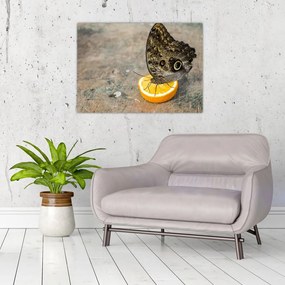 Skleněný obraz motýla (70x50 cm)