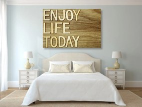 Obraz s citací - Enjoy life today