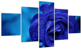 Obraz modré růže (125x70 cm)
