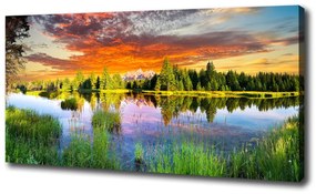 Wallmuralia Moderní fotoobraz canvas na rámu Řeka v lese 100x50
