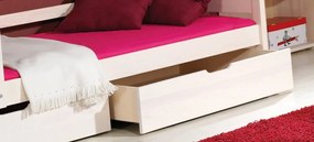 Casarredo - Komfort nábytek Patrová postel DAREK s úložným prostorem | barva: dol moření ořech