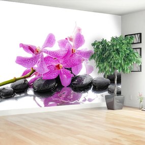 Fototapeta Růžová orchidej 104x70