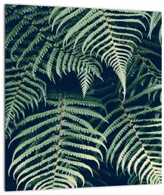 Obraz listů kapradin (30x30 cm)